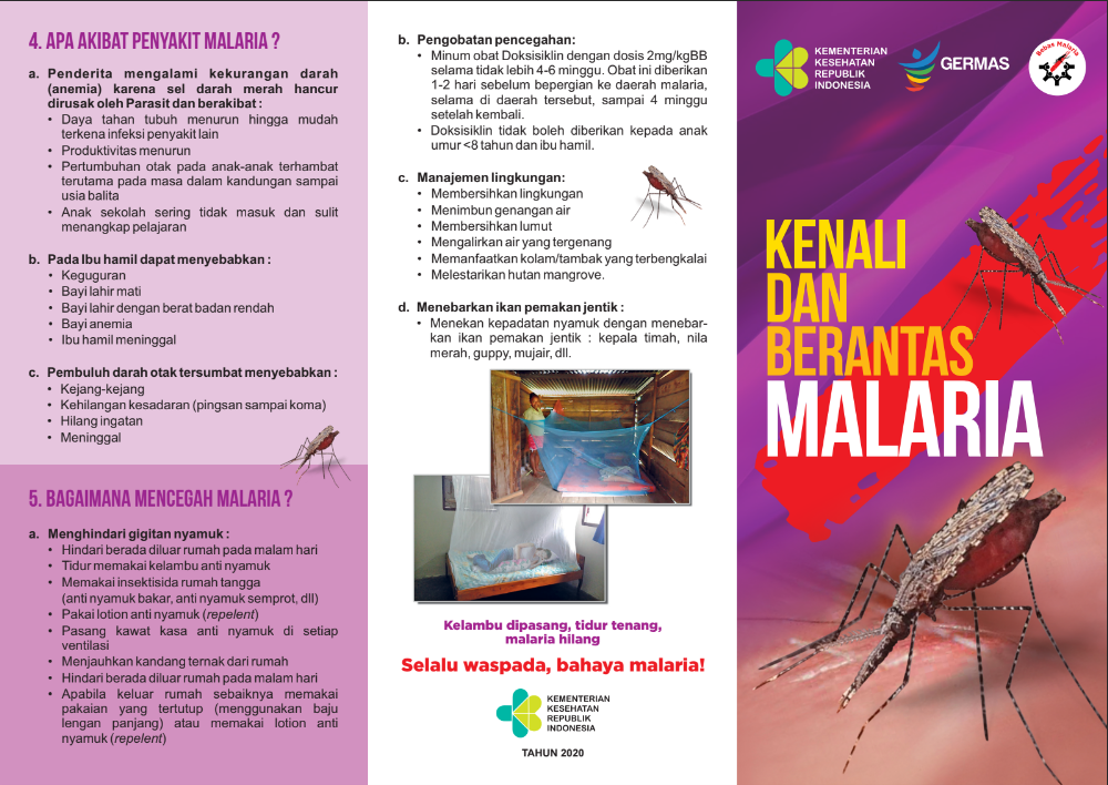 Pustaka Malaria | Malaria